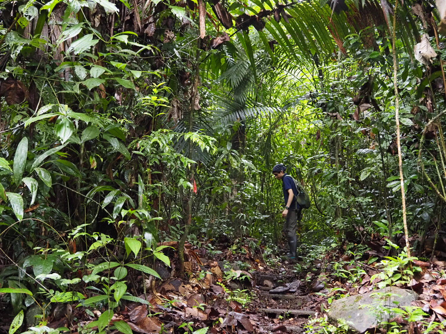 京都大学大学院 アジア・アフリカ地域研究研究科 東南アジア地域研究